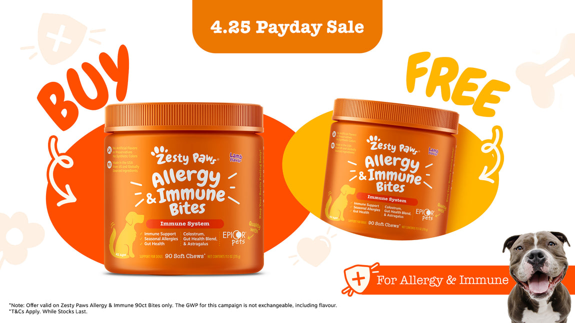 Zesty Paws Asia Official Website | Functional Pet Supplements – Zesty ...